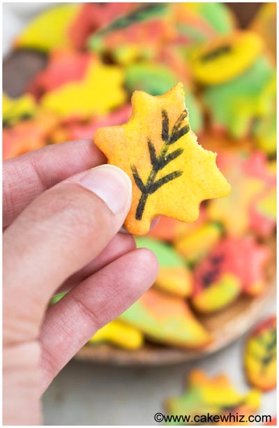 Fall Leaves Sugar Cookies