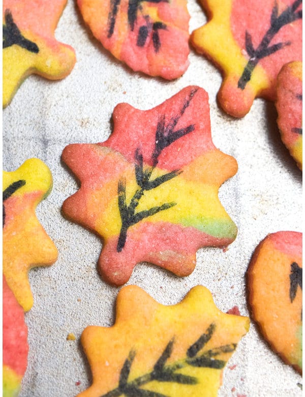 Fall Leaves Sugar Cookies
