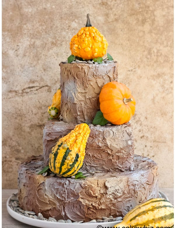 Rustic Tiered Fall Cake