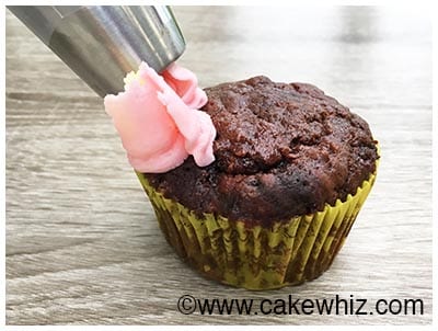 Russian Piping Tips Tutorial