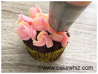 Russian Piping Tips Tutorial