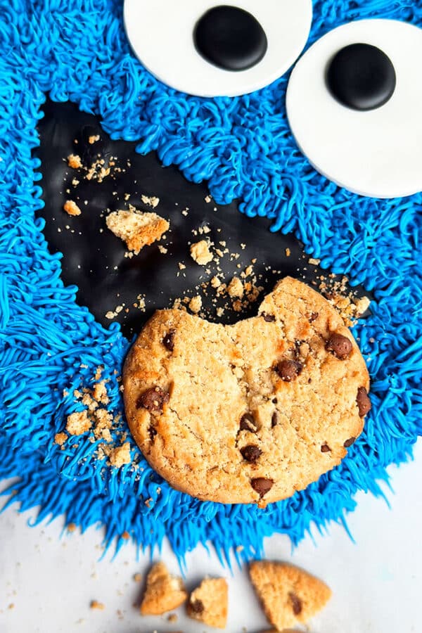 Cookie Monster Cake {Sesame Street} - CakeWhiz